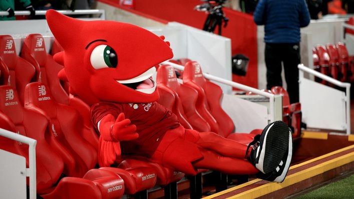 Premier League mascots: Who represents who at each club? | LiveScore
